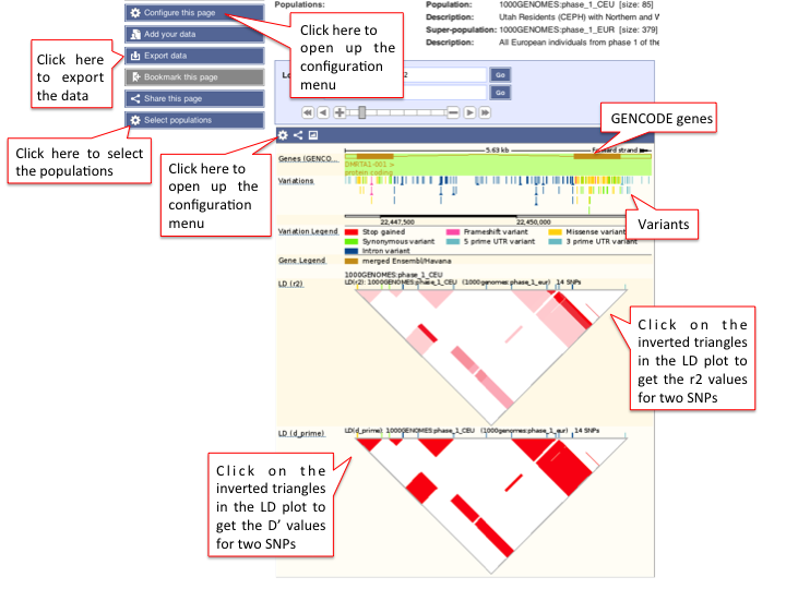 Help - Homo_sapiens - Ensembl genome browser 115