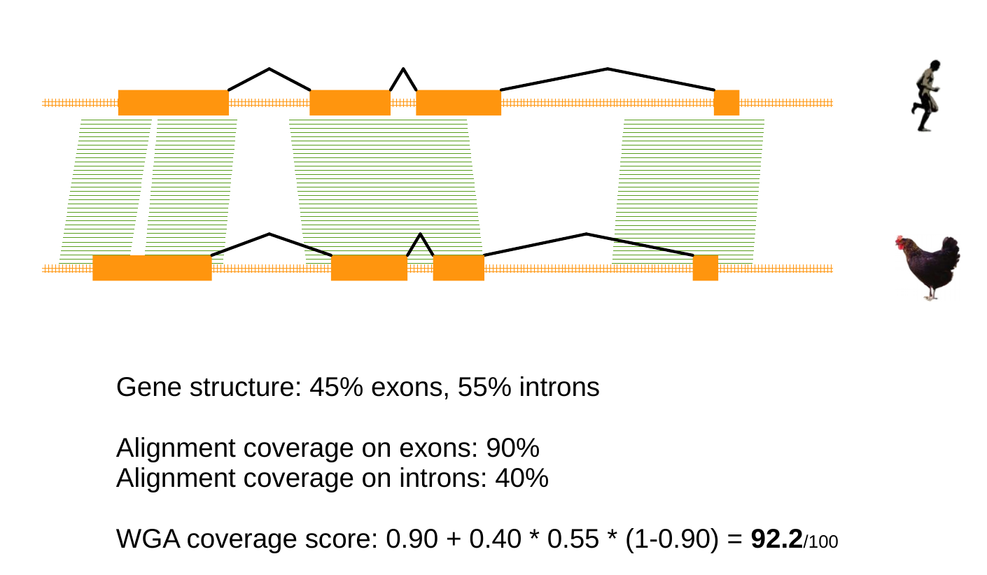 Orthology quality-controls